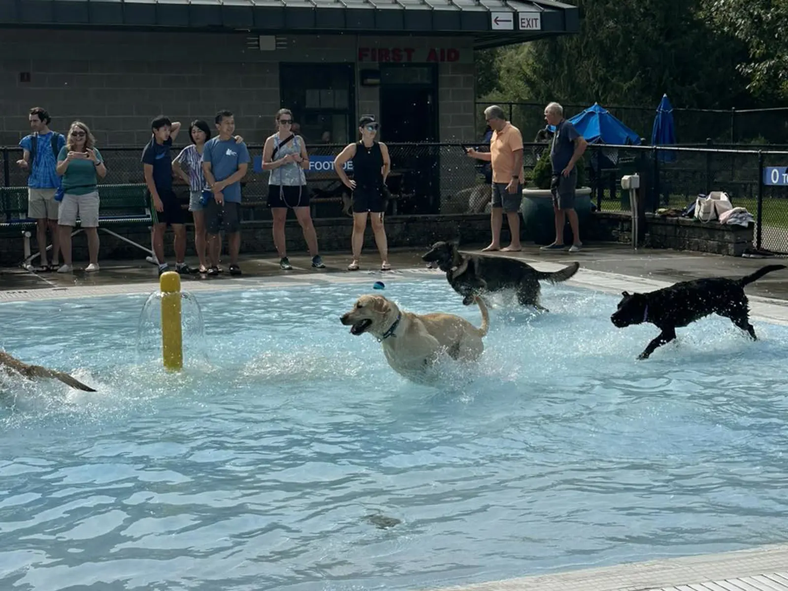 Junior Lake Pool | Town of Yorktown, NY